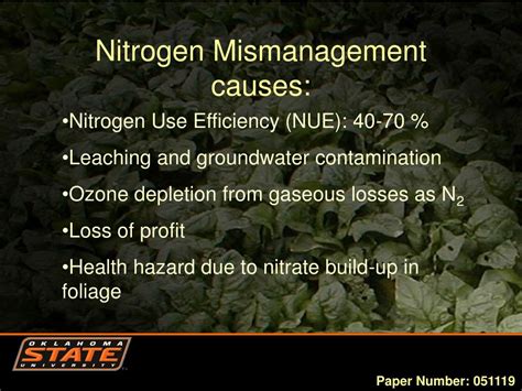 Ppt Variable Rate Nitrogen Application On Row Crop Spinach Powerpoint