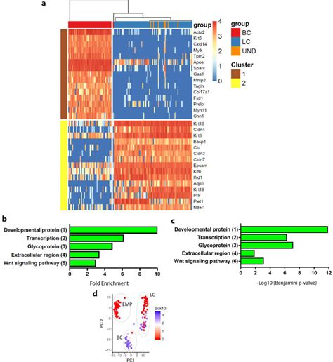 Unsupervised Clustering And Gene Ontology Of Scrna Seq Data Set A