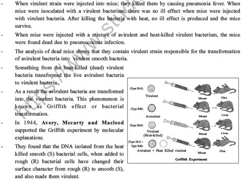 Neet Biology Molecular Basis Of Inheritance Mcqs Set A With Answers