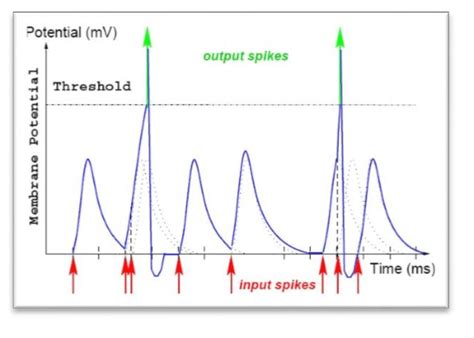 Integrator Figure Coincidence Detector Download Scientific Diagram