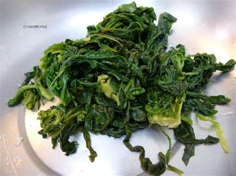 家鄉味薺菜水餃 台北雙連站 飲食YiroYiro udn部落格