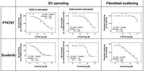 Angiogenesis Assay Service For Drug Discovery Reaction Biology