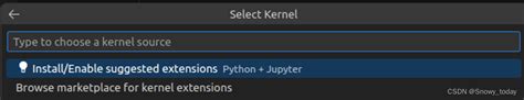 【vscode】解决远程配置jupyter Notebook始终无法搜到kernelvscode Jupyter找不到内核 Csdn博客
