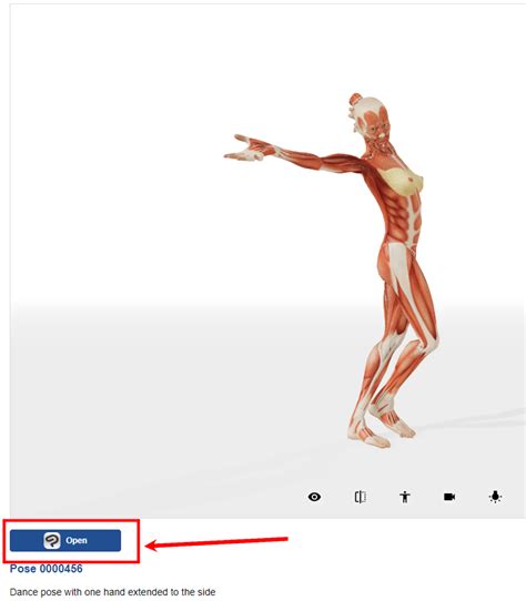 Integrating Posemaniacs Poses Into Csp