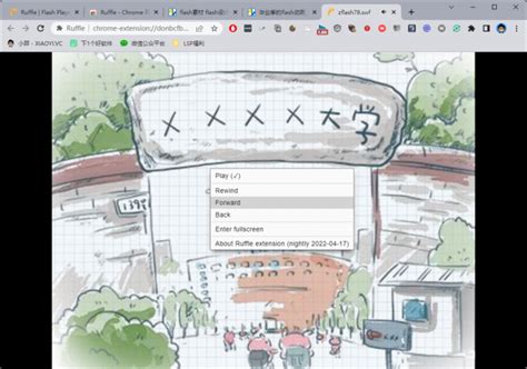 让浏览器继续支持 Flash 功能：开源版纯净版 小羿