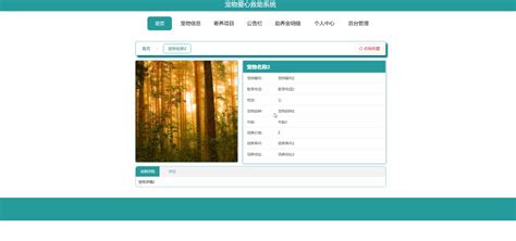 Java毕设项目宠物爱心救助系统（javavuemybatismavenmysql） Csdn博客