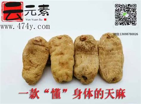 Mint Ruffles F Scrolller