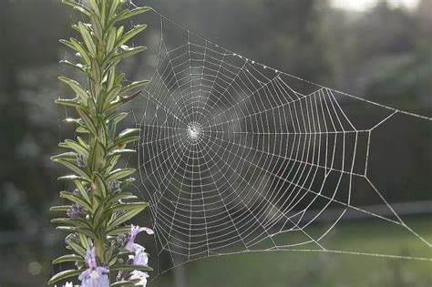 Transforming Legacy Applications Migrating To Aspnet Core Kmf Blogs