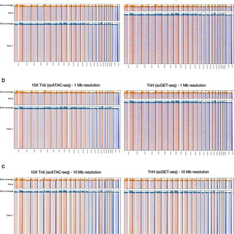 Copy Number Analysis At Multiple Resolutions A Segmentation Profiles