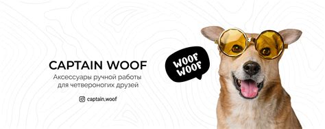 CAPTAIN WOOF Адресники для собак и кошек ВКонтакте
