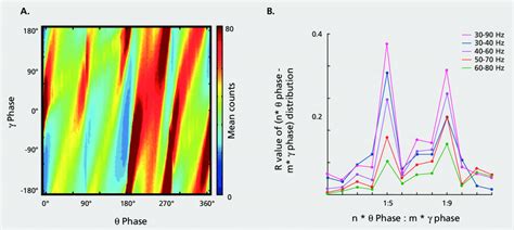 Phase Phase Coupling Between Oscillations A Plot Illustrates Download Scientific Diagram