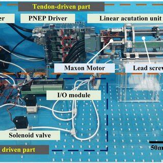 Experiments Of The Shape Locking Performance During The Flexiblerigid Download Scientific