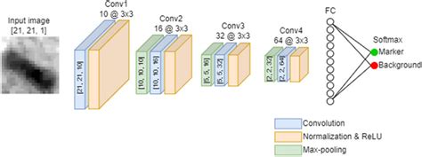 Schematic Of The Cnn Architecture Consisting Of Four Convolutional