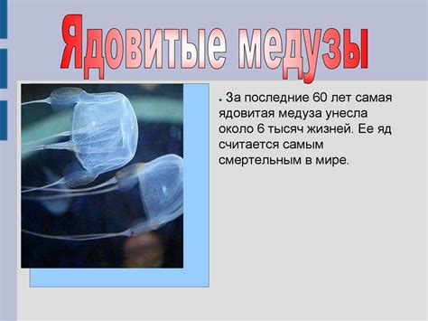 Самые ядовитые существа в мире презентация онлайн