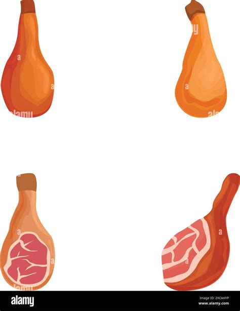 collection of four cartoon butternut squash illustrations including