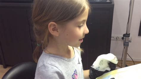 Пухленькая пчёлка🐝 Youtube