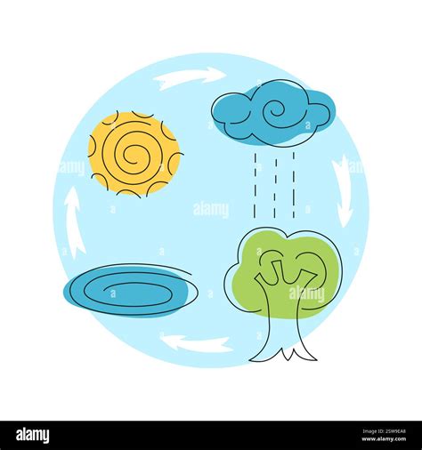 An Educational Illustration Visually Representing The Water Cycle With