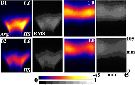 Time Averaged Oh Chemiluminescence Distribution And Rms Fluctuation
