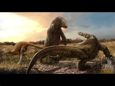 Megalania Australias Giant Komodo Dragon Relative Youtube
