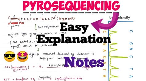 Pyrosequencing Dna Sequencing 🤩 Notes 📝🤩 Madeeasy Youtube