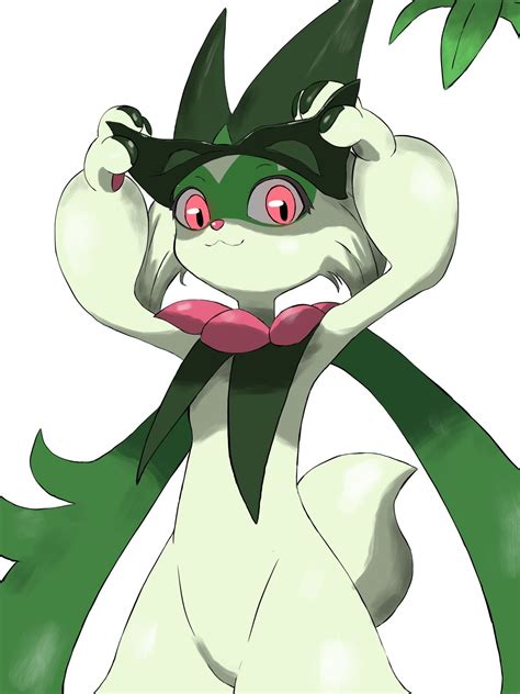 Pokemon Breeds Pokemon Memes Pokemon Funny My Pokemon Pokemon Waifu