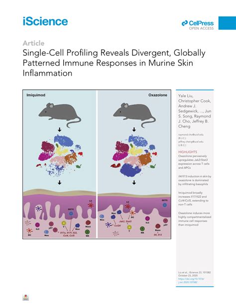 Pdf Single Cell Profiling Reveals Divergent Globally Patterned Immune Responses In Murine