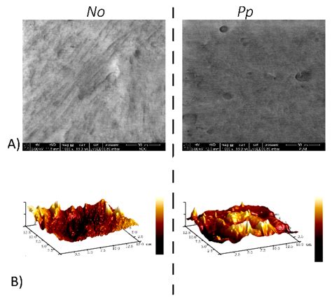 Production Preparation And Characterization Of Microalgae Based Biopolymer As A Potential