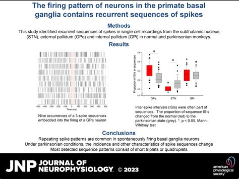 Basal Ganglia Journal Elsevier At Mary Galvin Blog