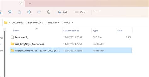My Wicked Whims Script File Cant Be Found Technical Support
