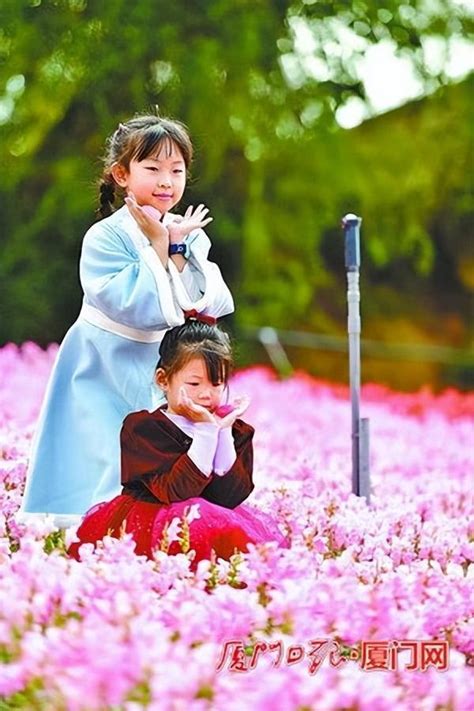 厦门山海健康步道林海线二期开放！山林湖海一线畅游 腾讯新闻