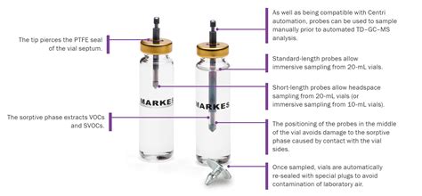 Headspace Sampling Using Hisorb High Capacity Sorptive Extraction For Flavour Profiling Of Foods