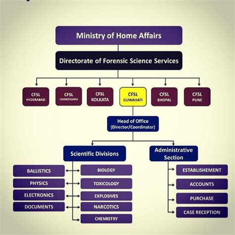 Organizational Structure Of Forensic Forensic Science