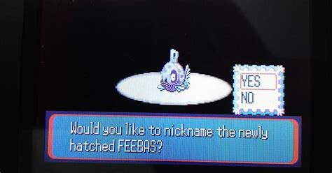 Adventures In Shiny Feebas Album On Imgur