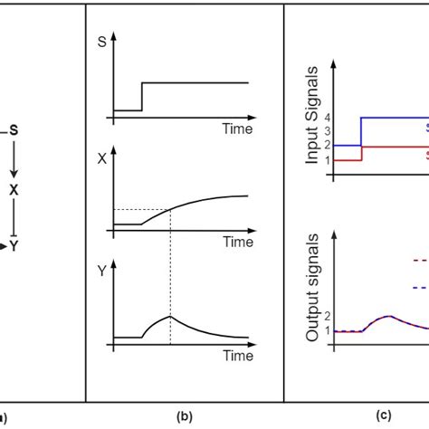 Representation Of The Incoherent Type 1 Feedforward Loop I1 Ffl And Download Scientific