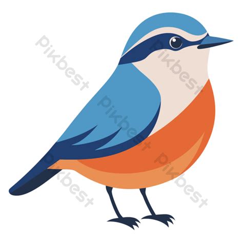 Nuthatch Bird Stands Colorful Isolated Sticker Vector Png Images Free Download Pikbest
