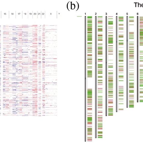 mutation analysis a copy number variation b differentially