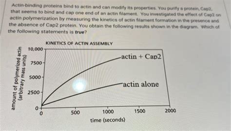 Solved Actin Binding Proteins Bind To Actin And Can Modify