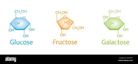 Chemical Illustration Of Monosaccharides Glucose Fructose And