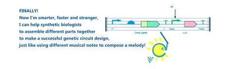 Team SYSU Software Igem Org