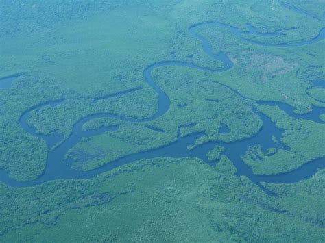 The Amazon Basin A Comprehensive Guide To Its Location Climate And