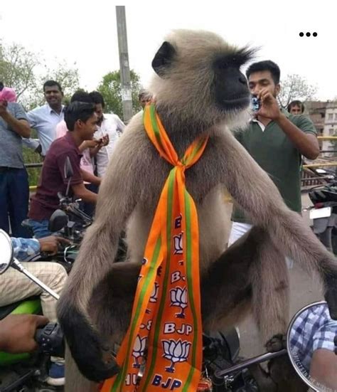 Pushkar Kumar On Linkedin Leadership Groupdynamics Politicaldiscourse Socialbehavior