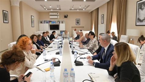 გენდერული თანასწორობის საბჭომ ქალთა მიმართ ძალადობისა და ფემიციდის საკითხებზე იმსჯელა Metronome Ge