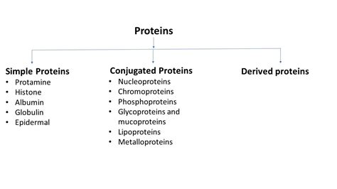 Protein Function Classification At Denise Reyes Blog