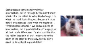 Using Details To Create Emotional Resonance PPT