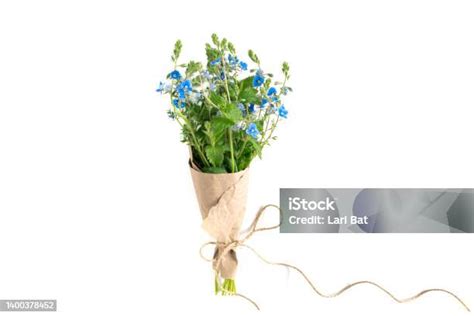 베로니카 차마에드리스 야생화의 귀여운 꽃다발은 크래프트 종이에 포장되어 대마 밧줄로 묶여 있습니다 흰색 배경에 고립 됨 부케에 대한 스톡 사진 및 기타 이미지 Istock