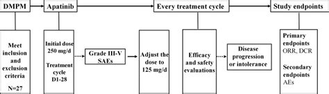 The Flow Chart Of Apatinib Treatment For Dmpm Dmpm Diffuse Malignant