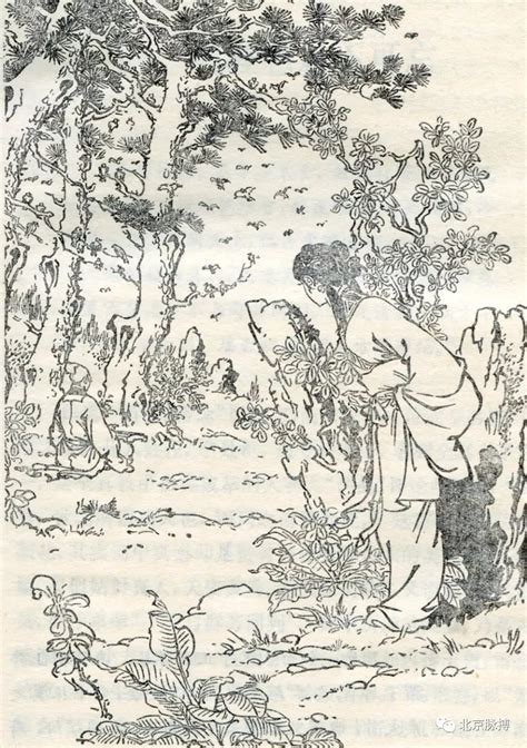 画说丨金庸旧版《倚天屠龙记》全插图 知乎