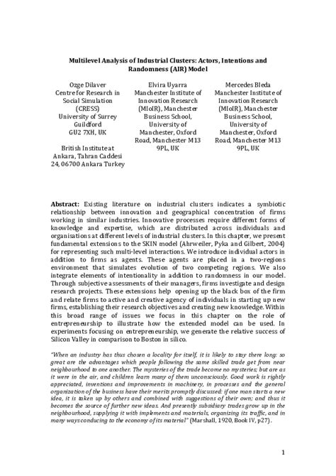 Pdf Multilevel Analysis Of Industrial Clusters Actors Intentions And Randomness Model