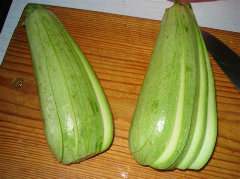 Ветрило от тиквички Майсторската рецепта на вуйна ми за лятото Винаги я прави като ѝ ходим на