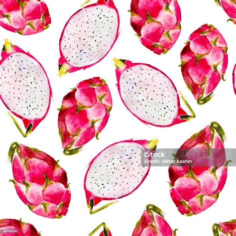 드래곤 과일 수채화 완벽 한 패턴입니다 흰색 배경 배경 벽지 섬유 포장 및 등등에 대 한 손으로 그린 디자인에 고립 된 밝은 열 대 과일 용과에 대한 스톡 벡터 아트 및